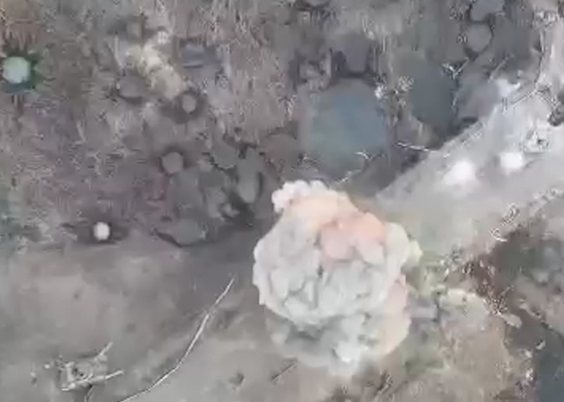 "Работает Ratel S": Федоров показал подрыв роботом-камикадзе моста на ...