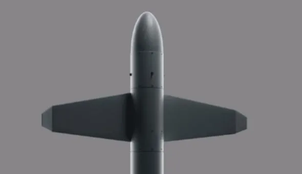 Ukrainian drone “Palyanitsa”: a mysterious weapon against Russian ...