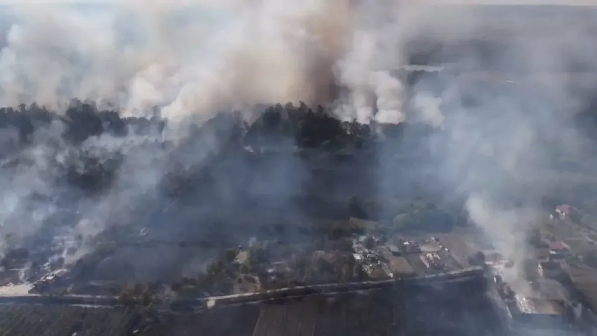 A large-scale fire in Romania burned 550 hectares, destroying ...