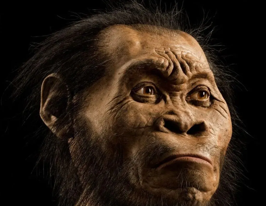 "People with a big head": discovered a new type of ancient man | УНН