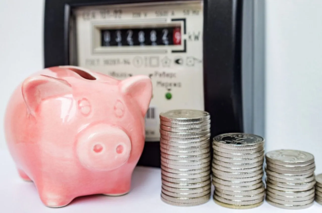 Recalculation of subsidies: how to check the updated amount of payments ...