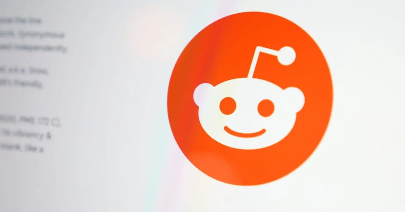 In France, social networks X, Bluesky and Reddit are under scrutiny due ...
