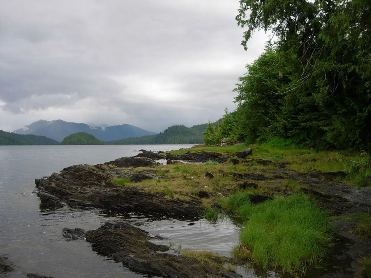 Trump opens 58 million acres of US national forests for development ...