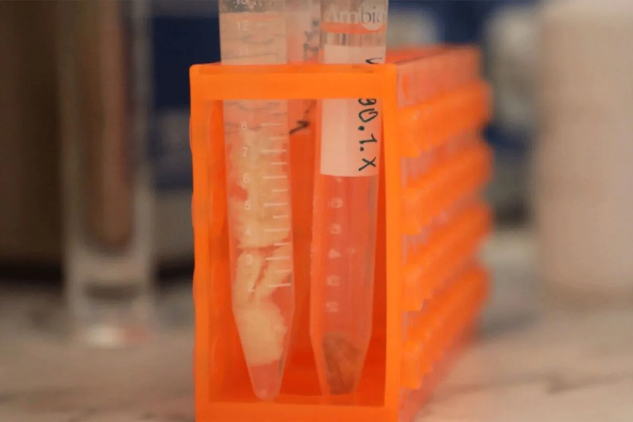 Collecting DNA from Ukrainians in the Baltic and Northern European ...