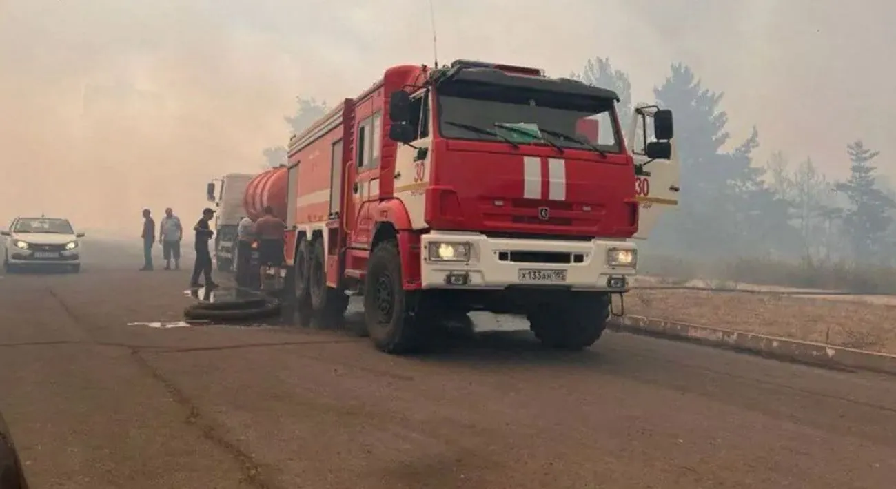 Forest fire near Enerhodar: occupiers almost caused a catastrophe at ...