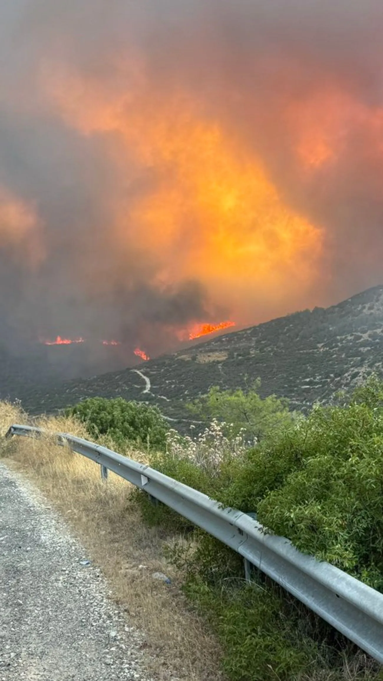 Forest fire in Cyprus claims two lives, evacuation announced | УНН