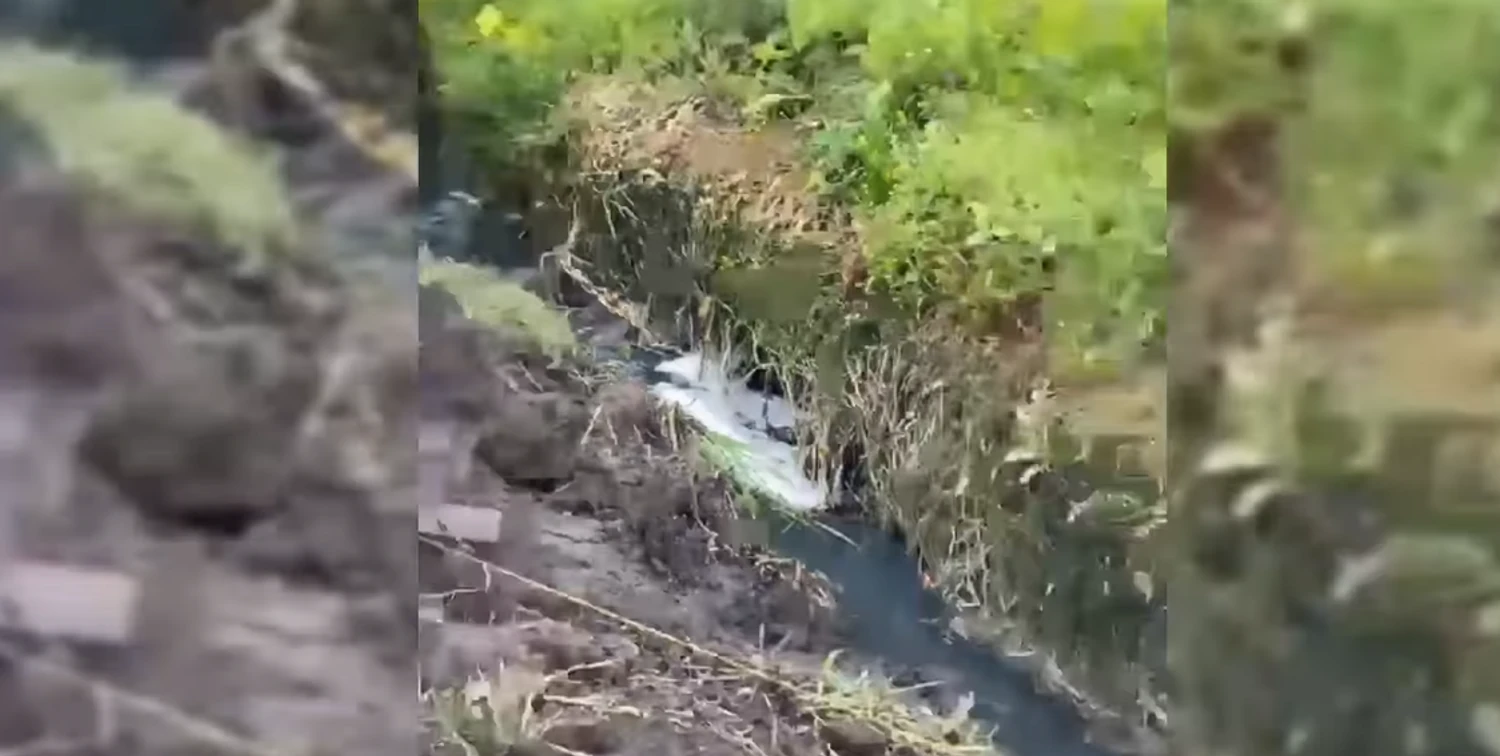 Mass fish kill occurred in a river in Khmelnytskyi | УНН