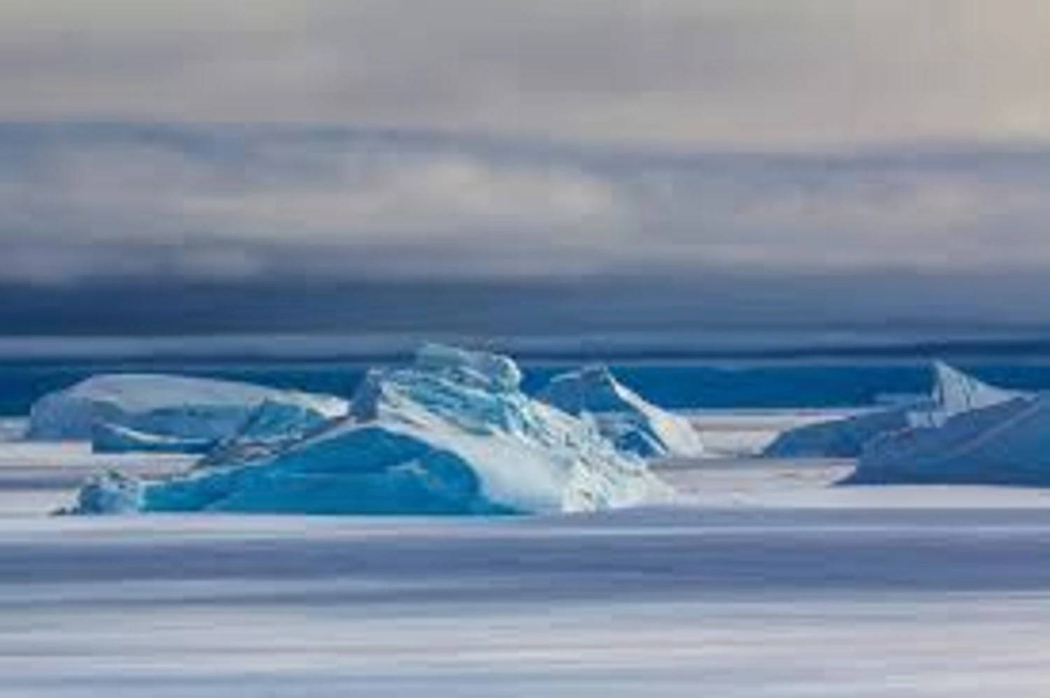 The official trailer for Anton Ptushkin's film "Antarctica" has been ...