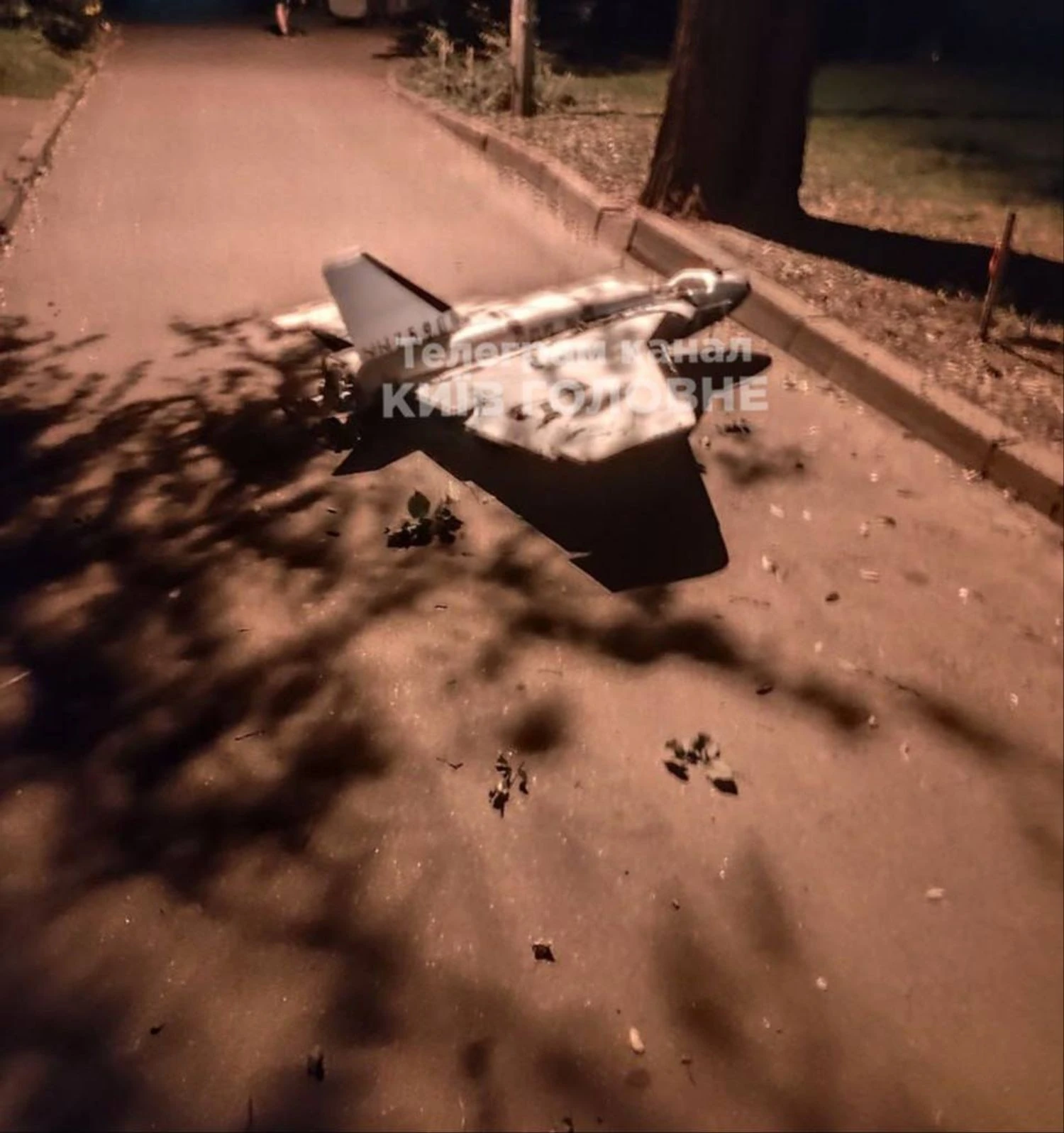 A photo of the Gerbera UAV that fell near residential buildings in Kyiv ...