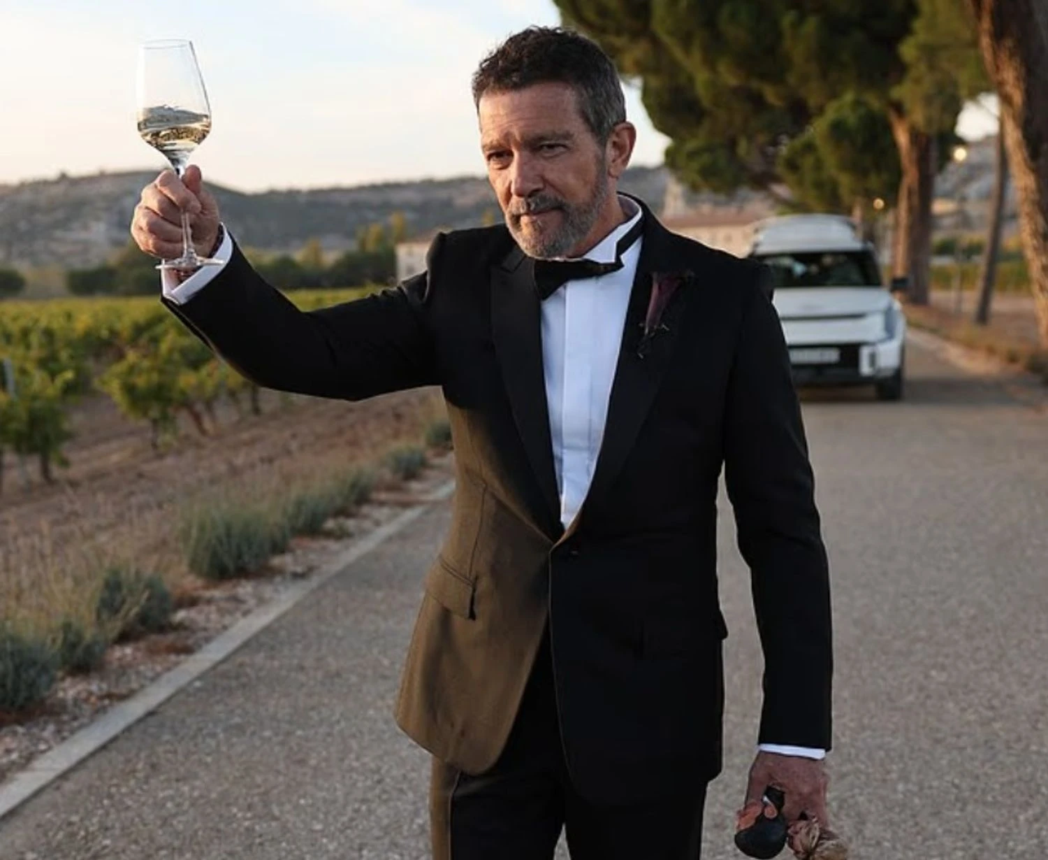 Antonio Banderas' daughter got married: Stella had a lavish wedding ...