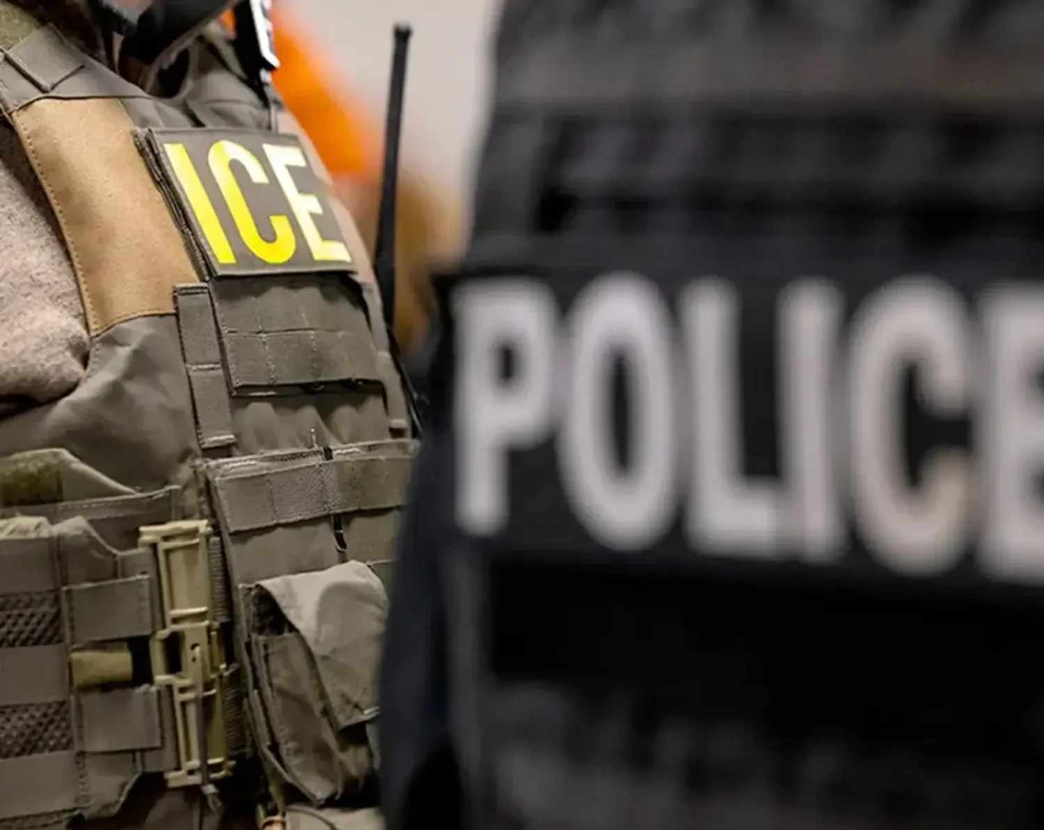 Massive raids against illegal immigration in the US: 81 people arrested ...