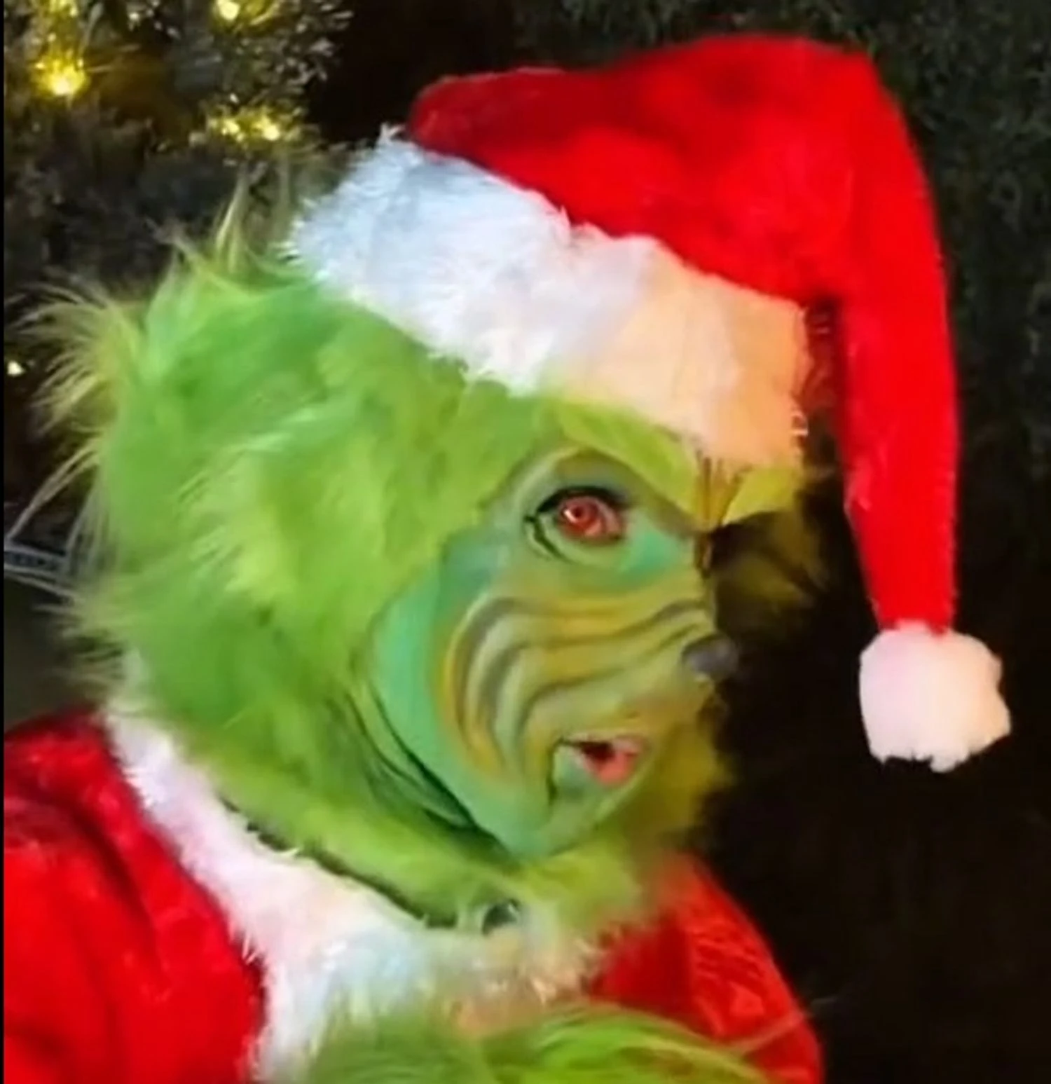 Celine Dion as the Grinch: the singer originally congratulated fans on ...