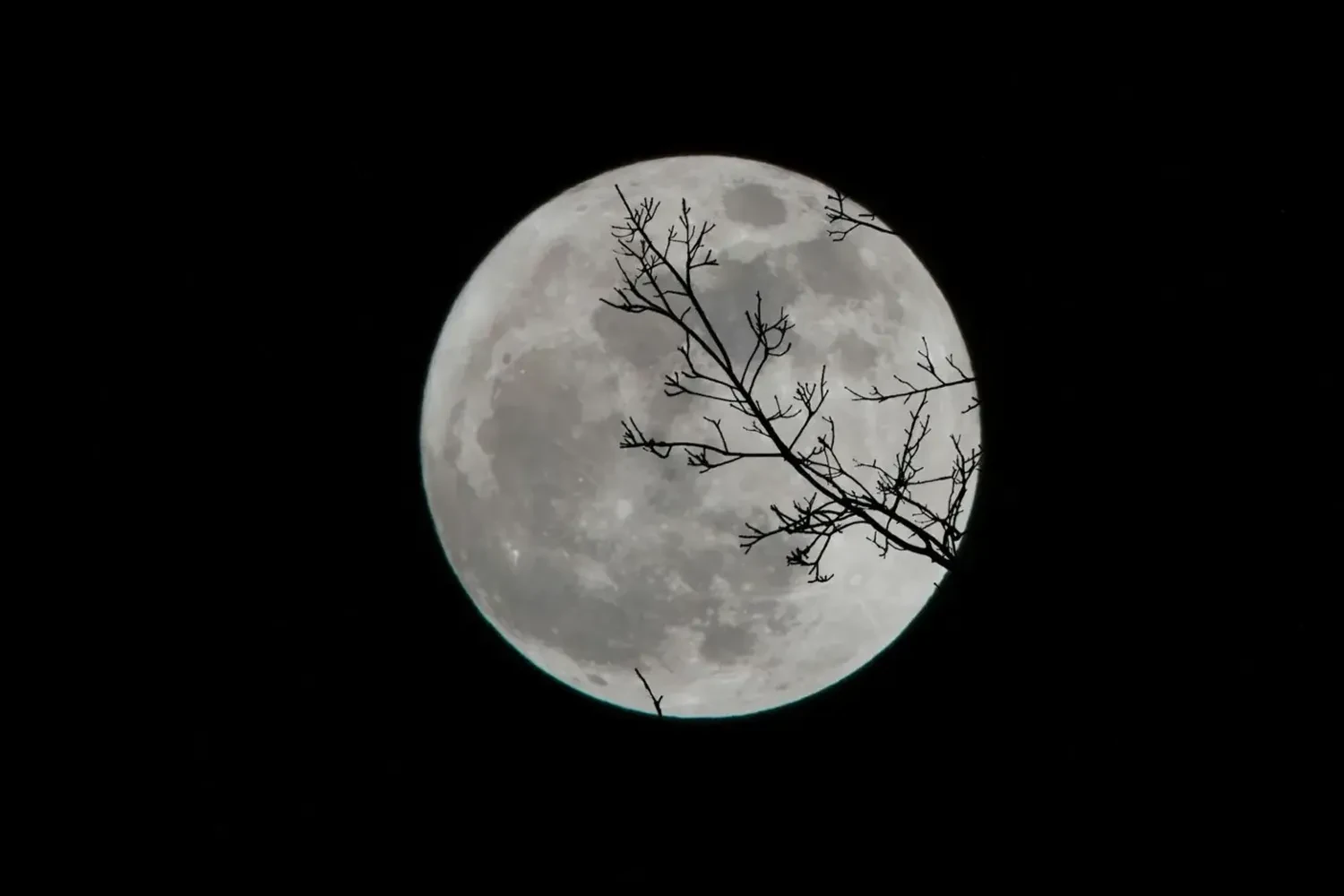 Full Snow Moon in February will light up the sky: when and how to see ...