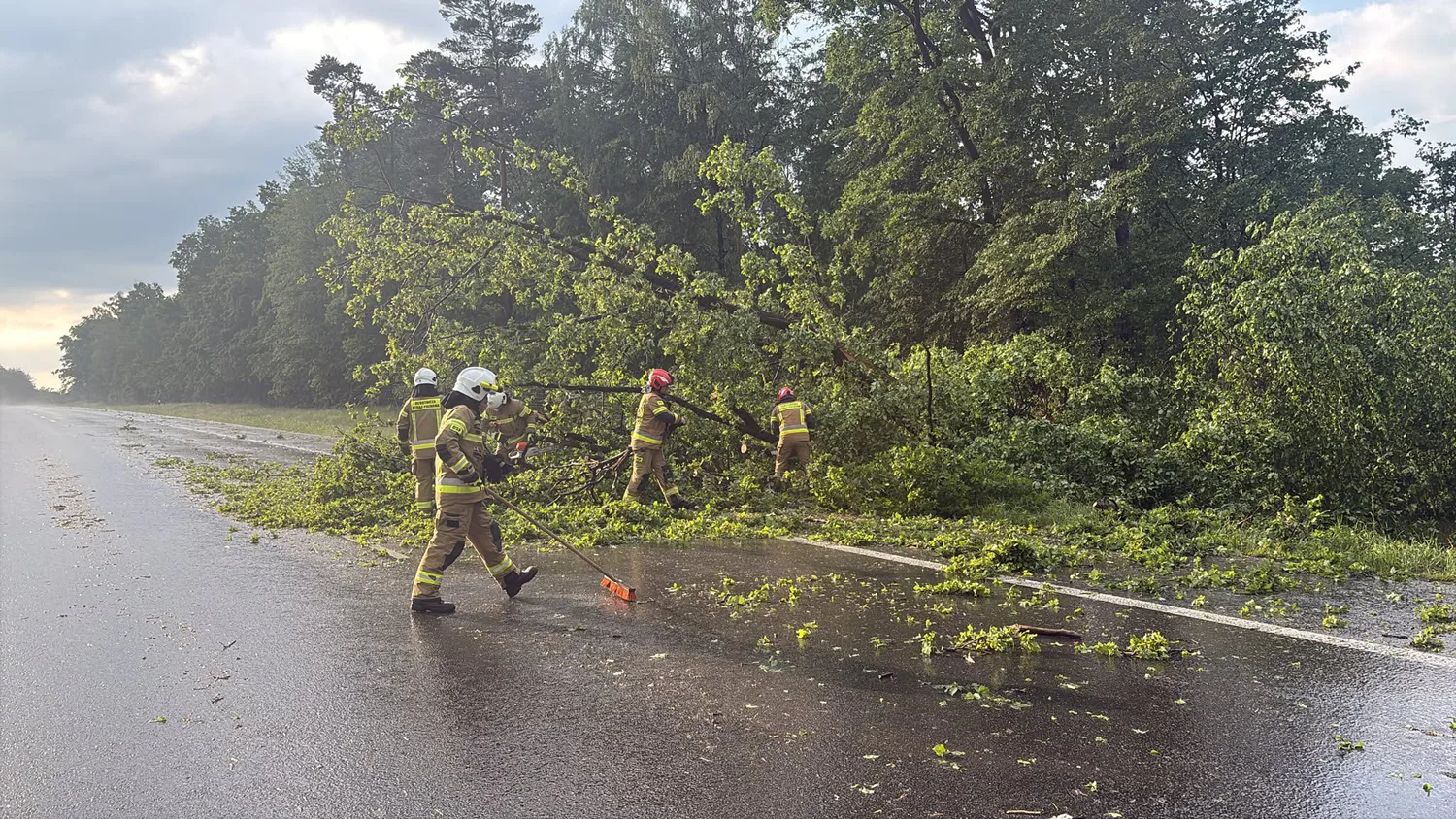 Tornado in Poland: Dozens of buildings damaged, roofs torn off | УНН